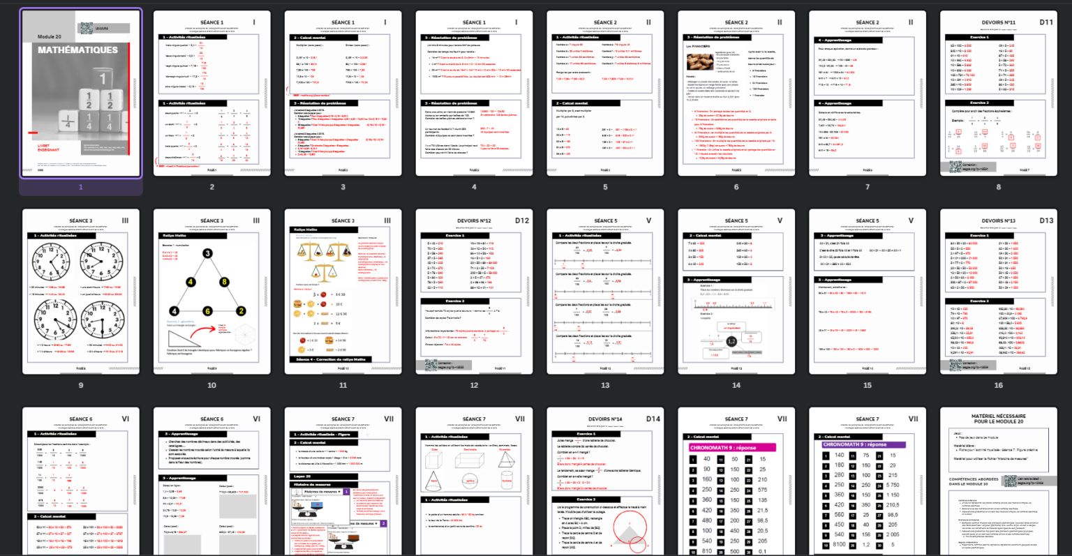 Comment MHM a sauvé mon année de Maths en SEGPA - SEGPA.org