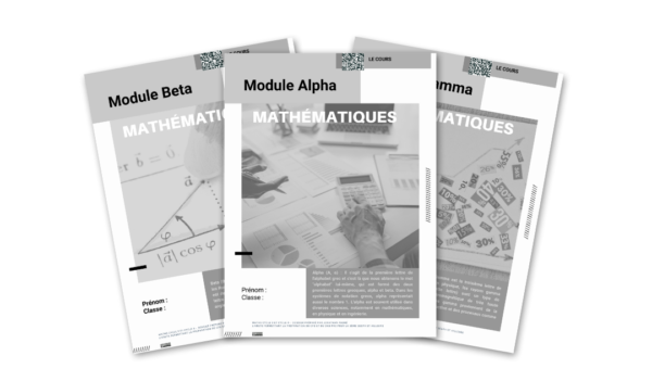 Module Alpha - Nombres et Calculs - SEGPA.org